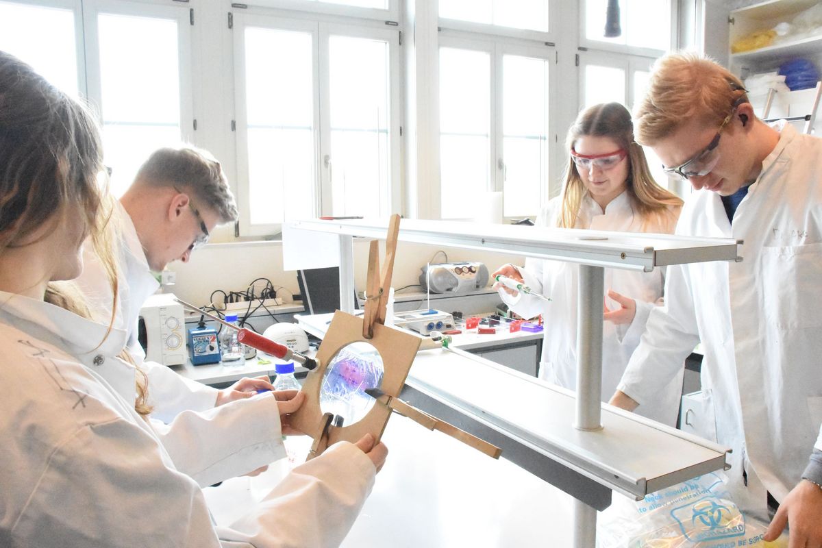 Bildung im Zentrum – NMS Bern